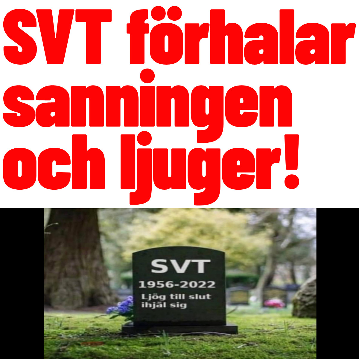 SVT förhalar sanningen och ljuger! - Vi som ska stoppa Länsstyrelsens övergrepp