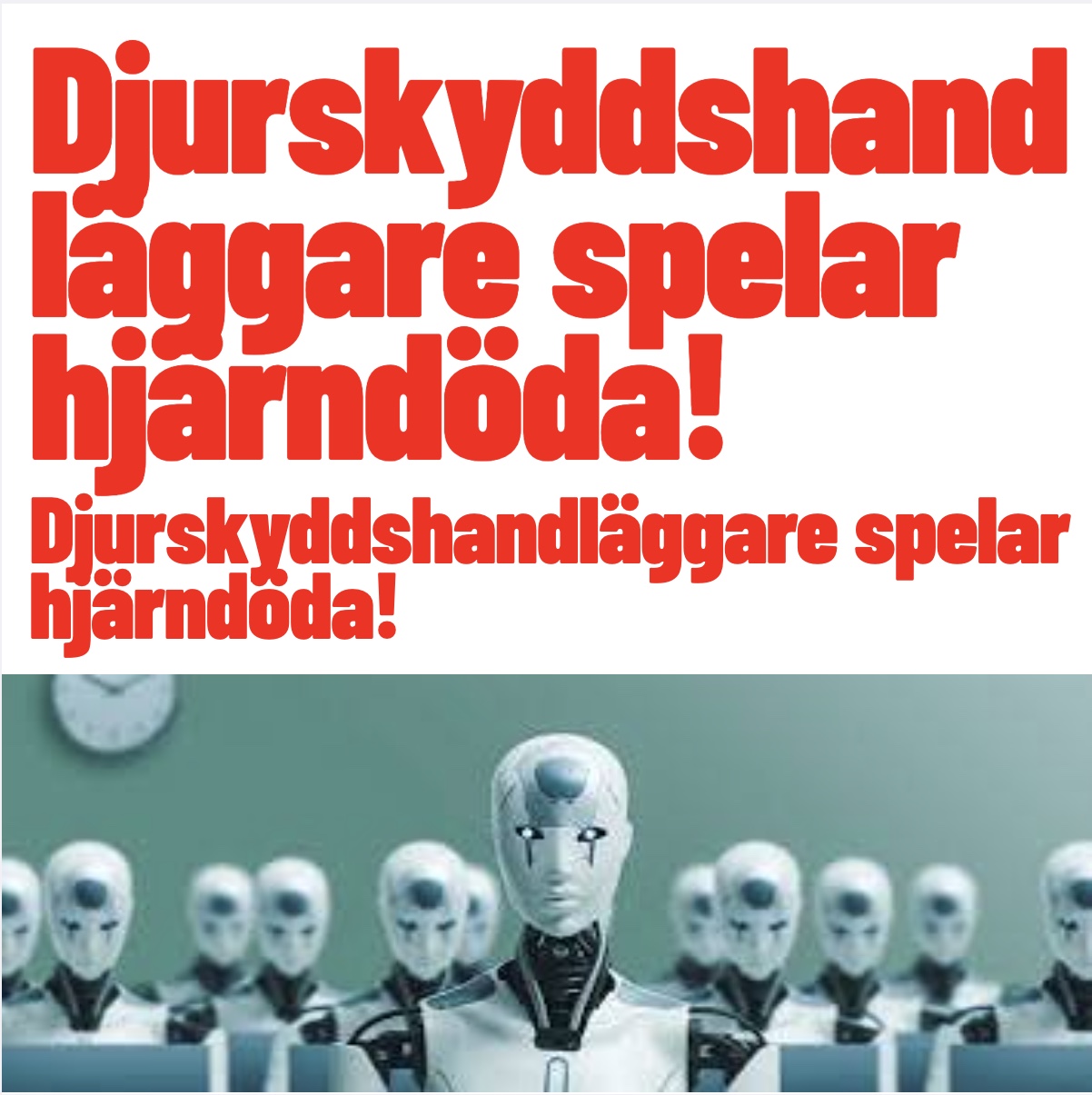 Djurskyddshandläggare spelar hjärndöda! - Vi som ska stoppa ...