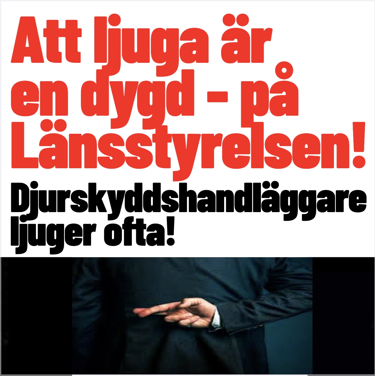 Att ljuga är en dygd - på Länsstyrelsen! - Vi som ska stoppa ...